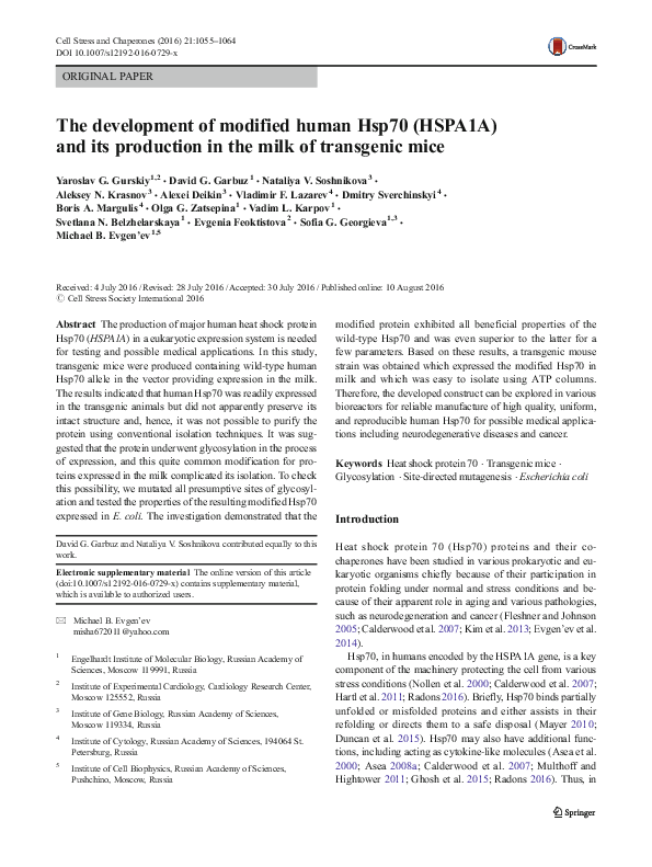 (PDF) The development of modified human Hsp70 (HSPA1A) and its ...