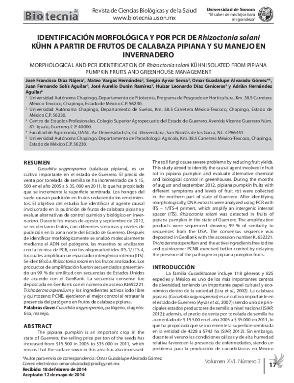(PDF) IDENTIFICACIÓN MORFOLÓGICA Y POR PCR DE Rhizoctonia solani KÜHN A ...