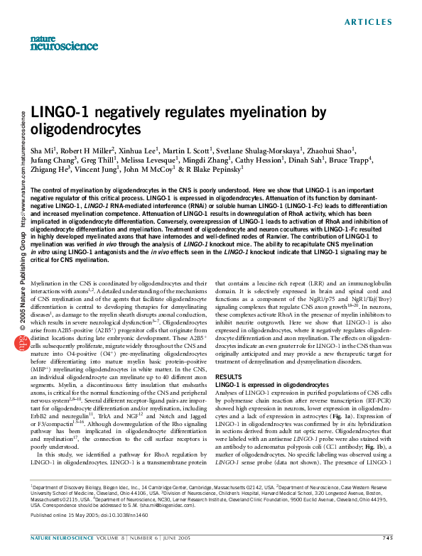 (PDF) LINGO-1 negatively regulates myelination by oligodendrocytes
