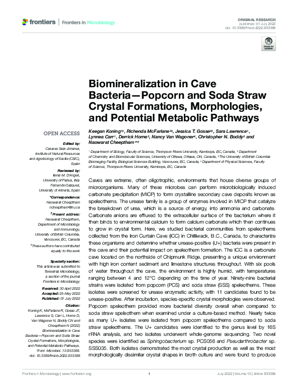 (PDF) Biomineralization in Cave Bacteria—Popcorn and Soda Straw Crystal ...