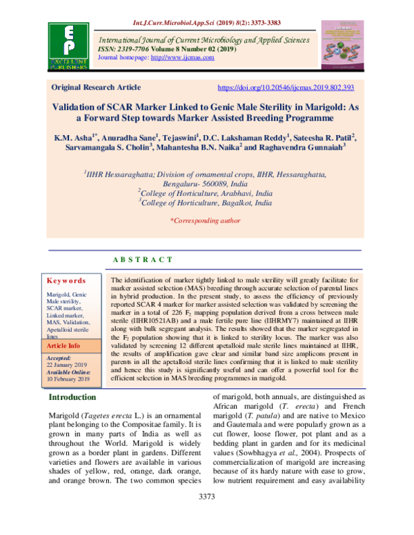 (PDF) Validation of SCAR Marker Linked to Genic Male Sterility in ...