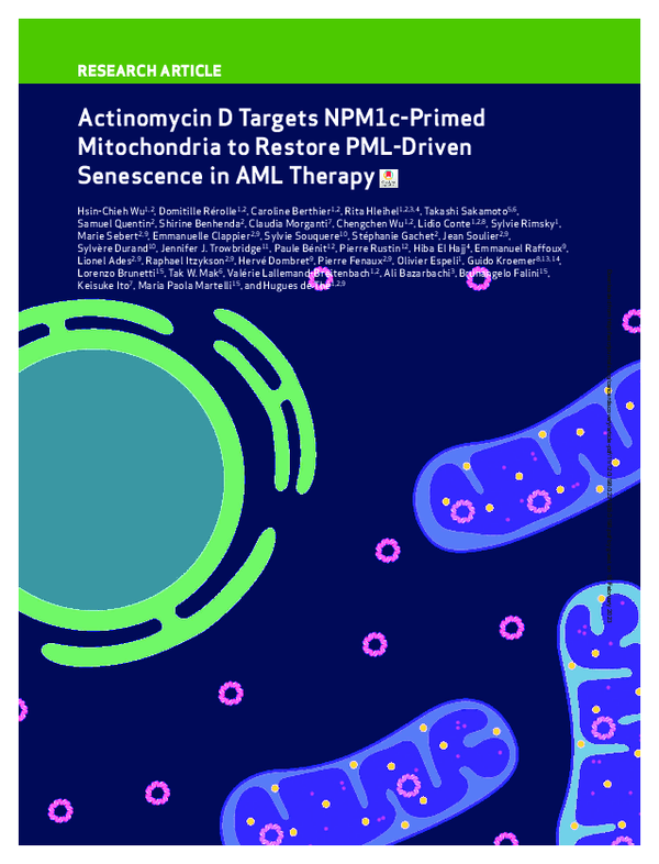 (PDF) Actinomycin D Targets NPM1c-Primed Mitochondria to Restore PML ...
