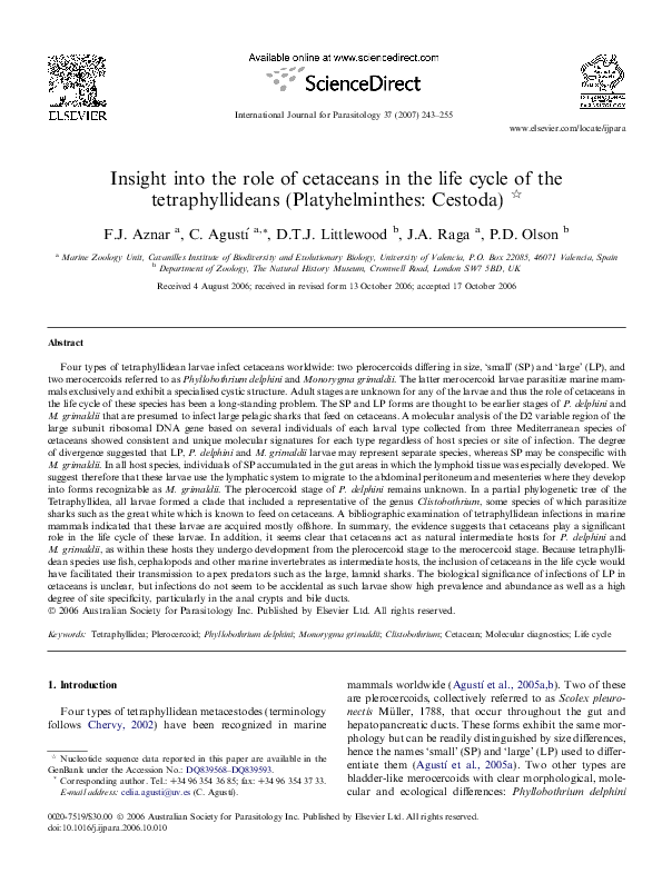 (PDF) Insight into the role of cetaceans in the life cycle of the ...