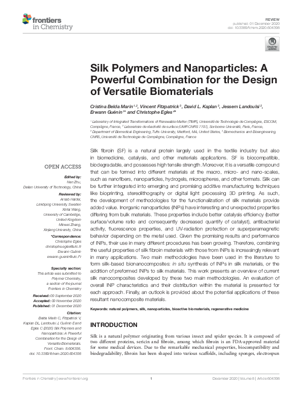 (PDF) Silk Polymers and Nanoparticles: A Powerful Combination for the ...