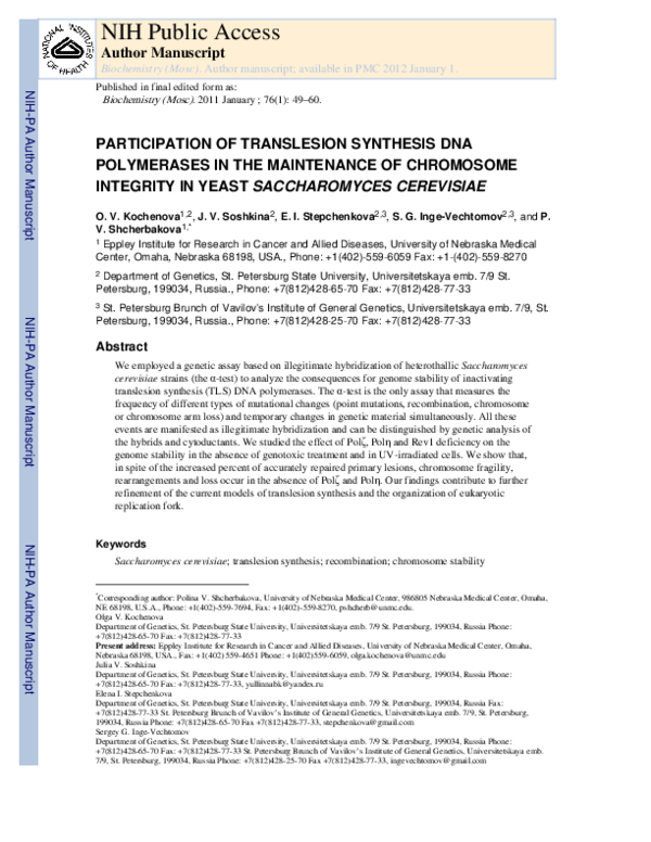 (PDF) Participation of translesion synthesis DNA polymerases in the ...