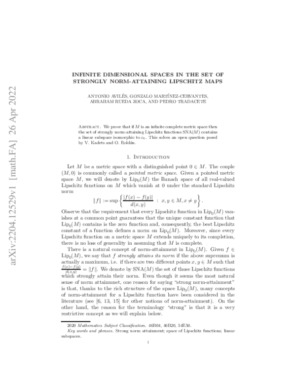 (PDF) Infinite dimensional spaces in the set of strongly norm-attaining Lipschitz maps