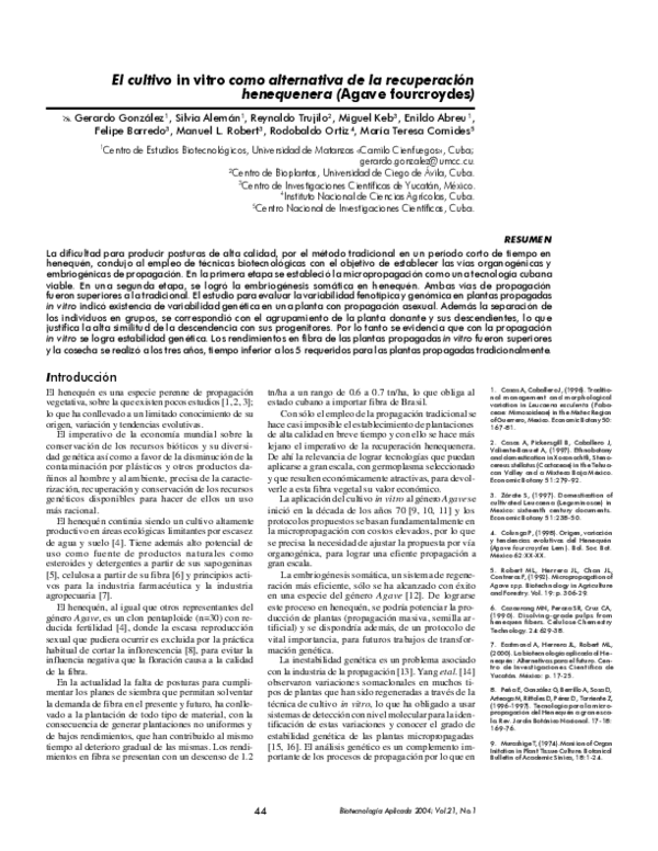 (PDF) El cultivo in vitro como alternativa de la recuperación ...