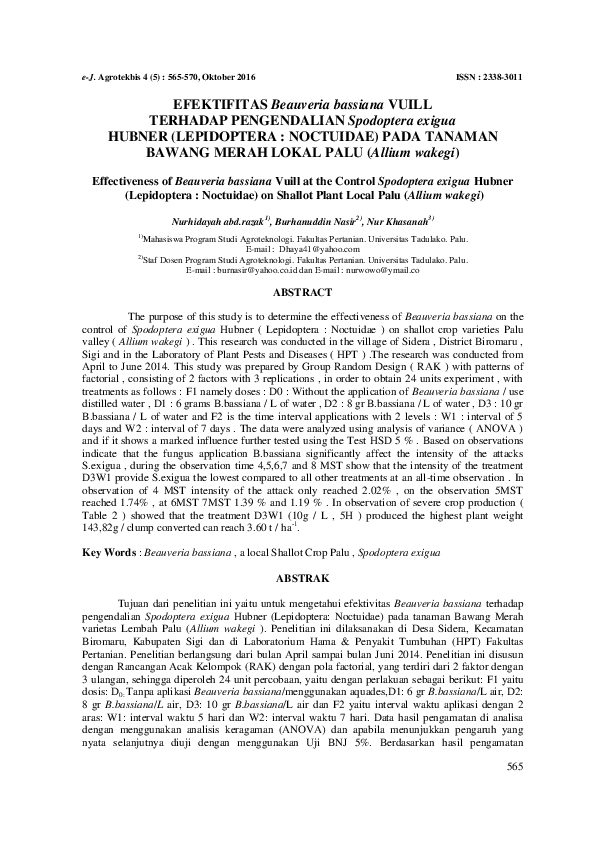 (PDF) EFEKTIFITAS Beauveria bassiana VUILL TERHADAP PENGENDALIAN Spodoptera exigua HUBNER ...