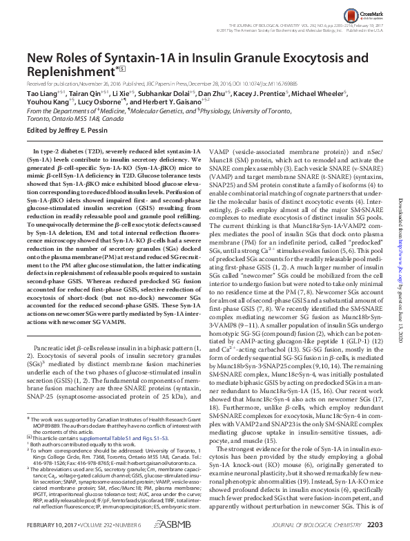 (PDF) New roles of Syntaxin-1A in insulin granule exocytosis and ...