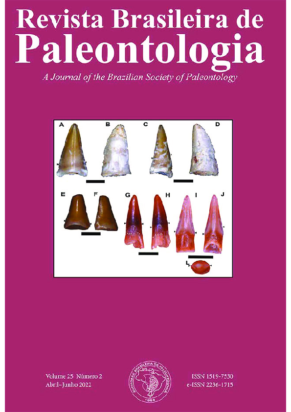 (PDF) New occurrences of Amiidae (Halecomorphi: Amiiformes: Vidalamiinae) from the Bauru Group ...