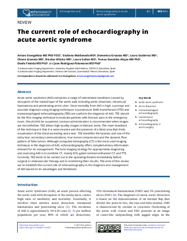 (PDF) The current role of echocardiography in acute aortic syndrome