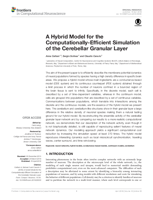 (PDF) A Hybrid Model for the Computationally-Efficient Simulation of the Cerebellar Granular Layer