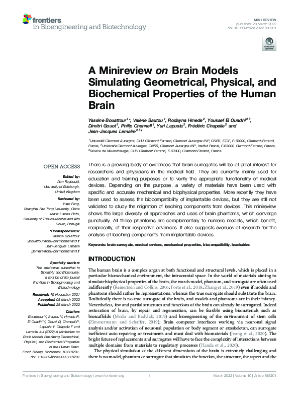 (PDF) A Minireview on Brain Models Simulating Geometrical, Physical ...