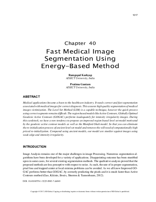 Pdf Fast Medical Image Segmentation Using Energy Based Method