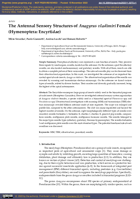 (PDF) The Antennal Sensory Structures of the Anagyrus vladimiri Female ...