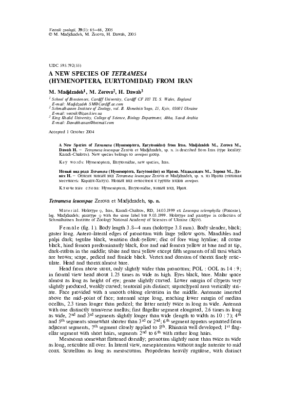 (PDF) A new species of Tetramesa (Hymenoptera, Eurytomidae) from Iran