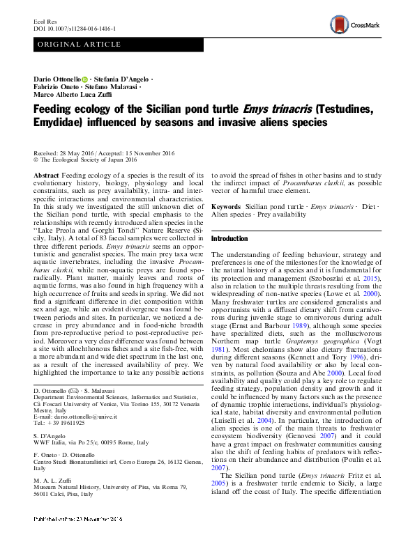 (PDF) Feeding ecology of the Sicilian pond turtle Emys trinacris ...