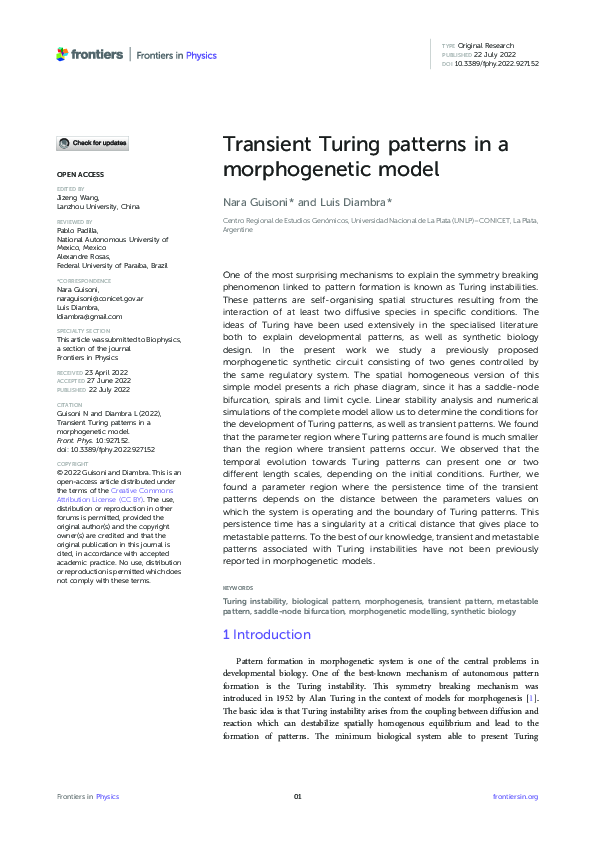 Pdf Transient Turing Patterns In A Morphogenetic Model