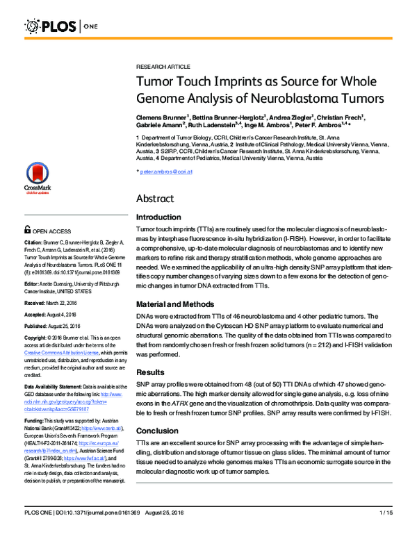 (PDF) Tumor Touch Imprints as Source for Whole Genome Analysis of Neuroblastoma Tumors | Peter ...