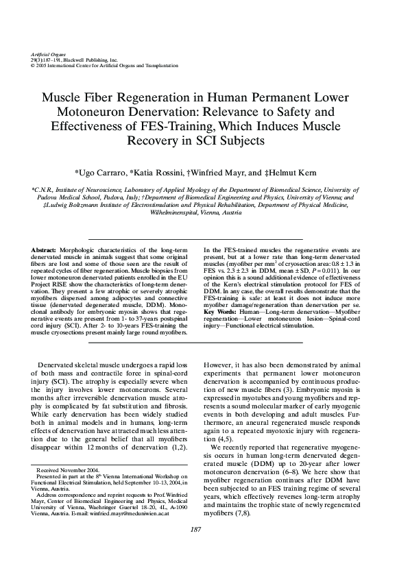 (PDF) Muscle Fiber Regeneration in Human Permanent Lower Motoneuron ...