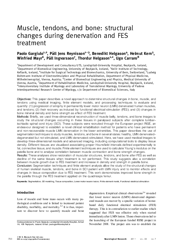 (PDF) Muscle, tendons, and bone: structural changes during denervation ...