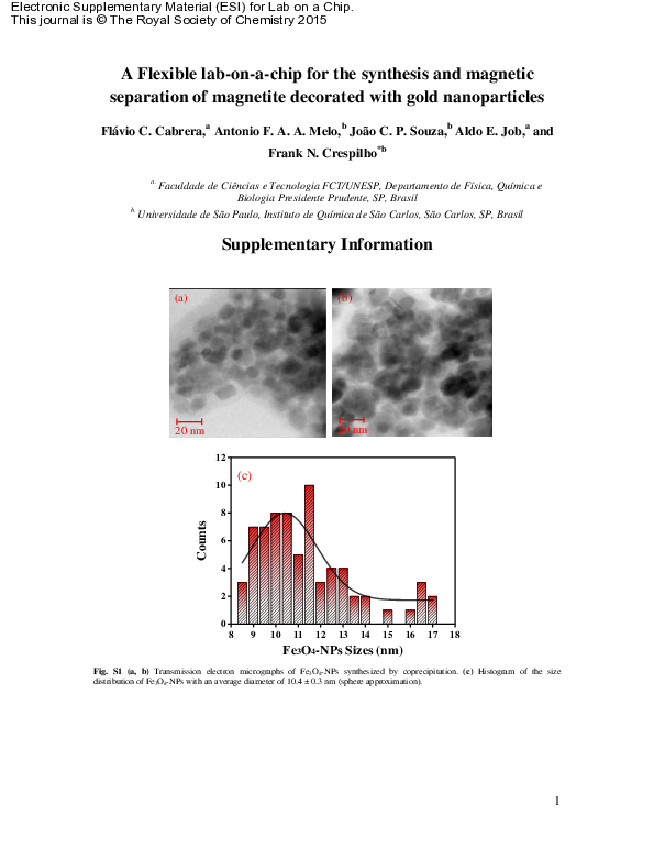 (PDF) Flexible Lab-on-a-Chip for Magnetite Synthesis