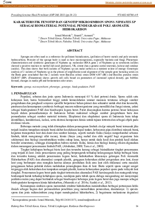 (PDF) Karakteristik Fenotip Dan Genotip Mikrosimbion Spons Niphates SP ...