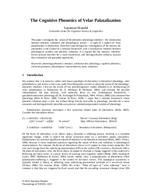 (PDF) The Cognitive Phonetics of Velar Palatalization