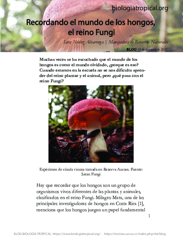(PDF) Recordando el mundo de los hongos, el reino Fungi.