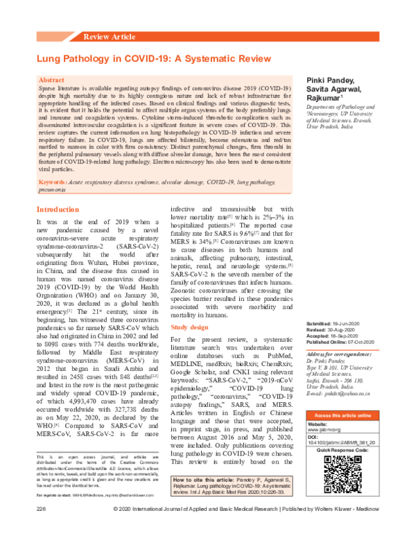 (PDF) Lung pathology in COVID-19: A systematic review