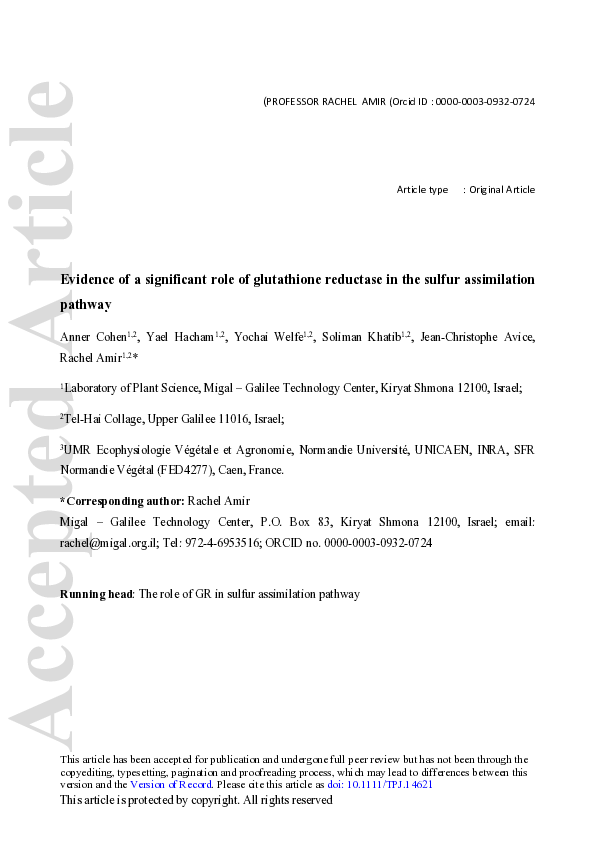 (PDF) Evidence of a significant role of glutathione reductase in the ...