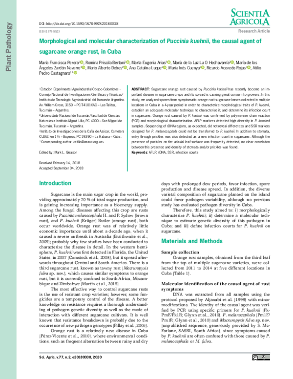 (PDF) Morphological and molecular characterization of Rhipicephalus microplus and Rhipicephalus ...