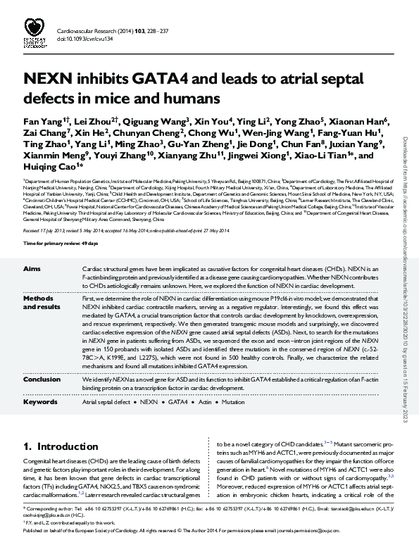 (PDF) NEXN inhibits GATA4 and leads to atrial septal defects in mice ...
