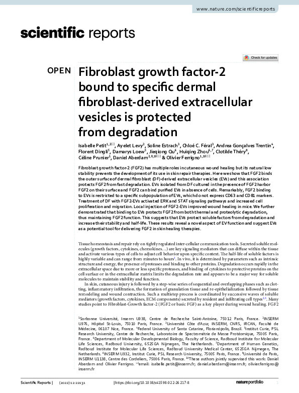 (PDF) Fibroblast growth factor-2 bound to specific dermal fibroblast ...