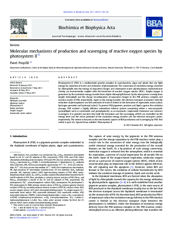 (PDF) Molecular mechanisms of production and scavenging of reactive ...