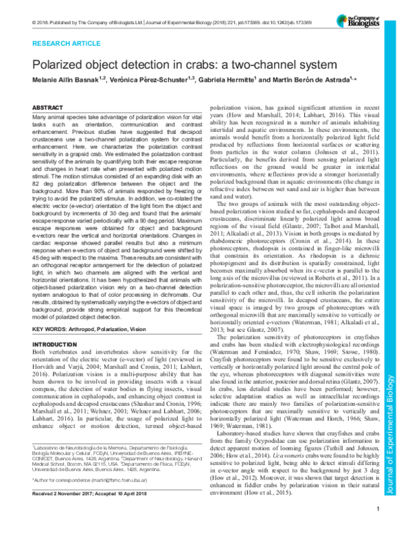 (PDF) Polarized object detection in crabs: a two-channel system