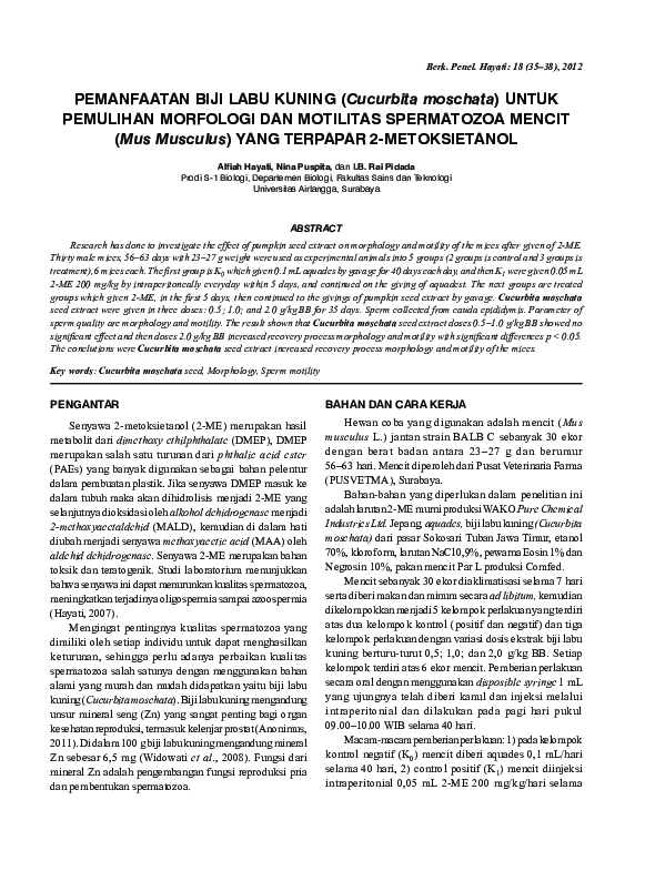 (PDF) Pemanfaatan biji labu kuning Cucurbita moschata untuk pemulihan ...
