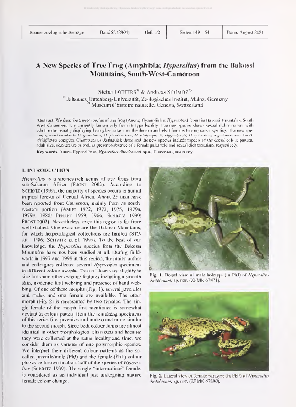 A new species of tree frog (Amphibia; Hyperolius) from the Bakossi ...