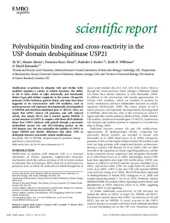 (PDF) Polyubiquitin binding and cross‐reactivity in the USP domain ...