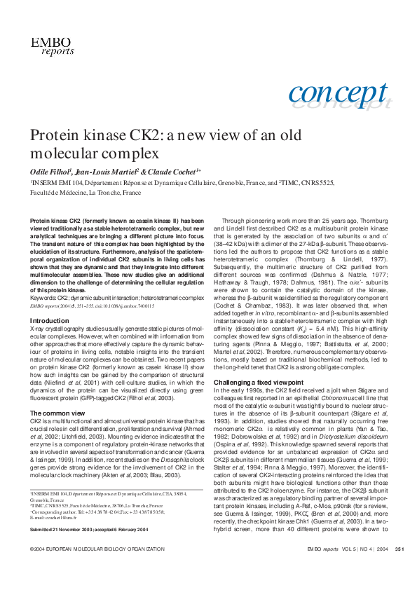 (PDF) Protein kinase CK2: a new view of an old molecular complex