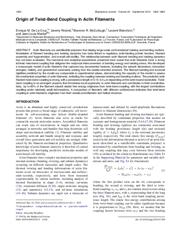 (PDF) Origin of Twist-Bend Coupling in Actin Filaments
