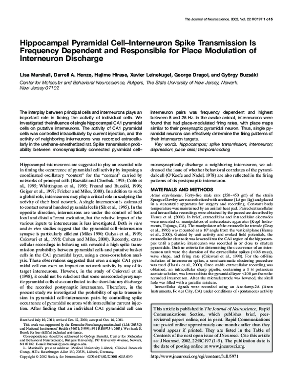 (PDF) Hippocampal Pyramidal Cell–Interneuron Spike Transmission Is ...