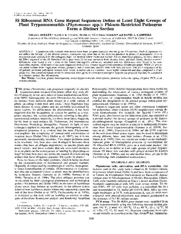 (PDF) 5S Ribosomal RNA Gene Repeat Sequences Define at Least Eight ...
