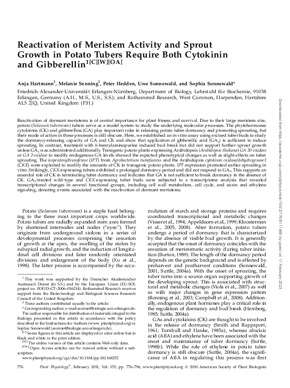 (PDF) Reactivation of Meristem Activity and Sprout Growth in Potato ...