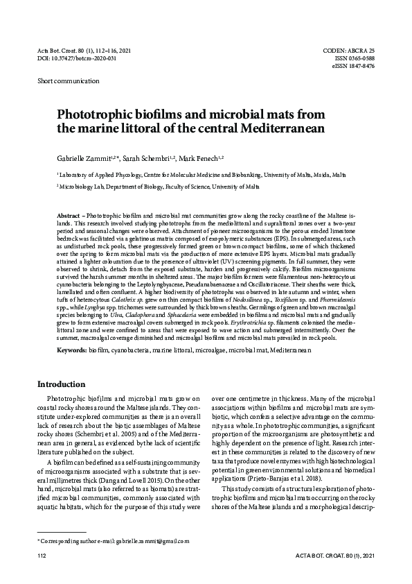(PDF) Phototrophic biofilms and microbial mats from the marine littoral ...
