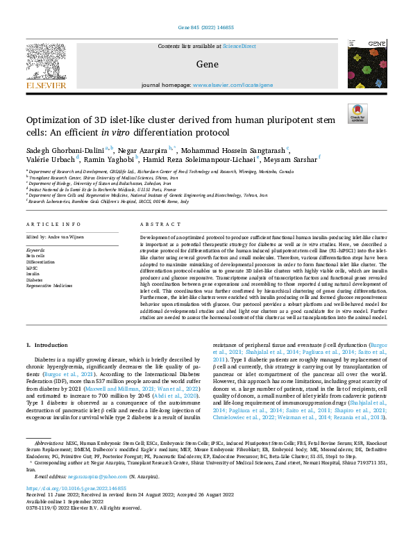 (PDF) Optimization of 3D islet-like cluster derived from human ...