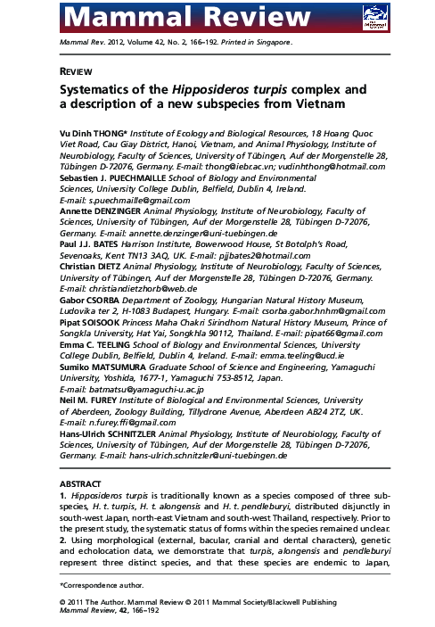 (PDF) Systematics of the Hipposideros turpis complex and a description ...