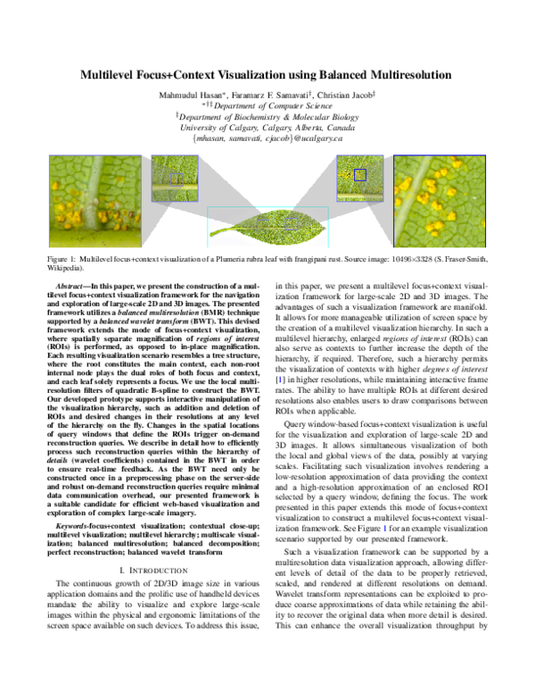 (PDF) Multilevel Focus+Context Visualization Using Balanced Multiresolution