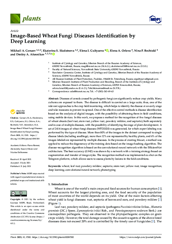 Pdf Image Based Wheat Fungi Diseases Identification By Deep Learning