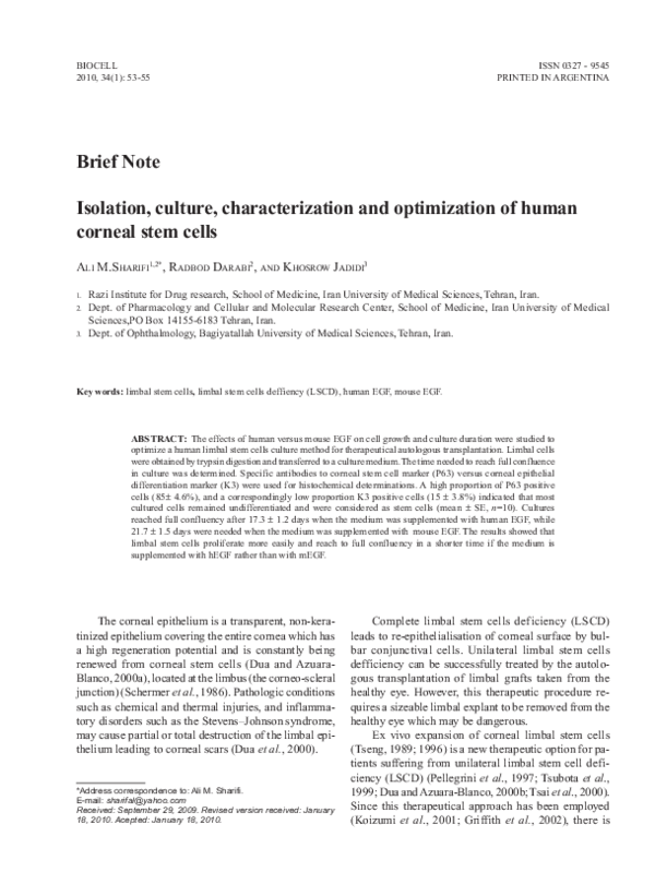 Pdf Brief Note Isolation Culture Characterization And Optimization Of Human Corneal Stem Cells